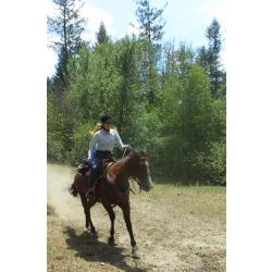 Types-Of-Cattle-Breeds-Word-Search-Puzzle-Worksheet-Printable Stories ...