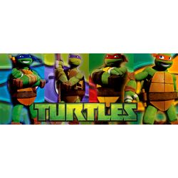 The Ultimate TMNT 2012 Trivia Quiz - Test | Quotev