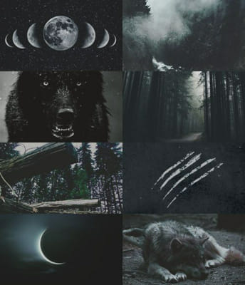 Werewolf Quiz (part 1.) - Quiz | Quotev