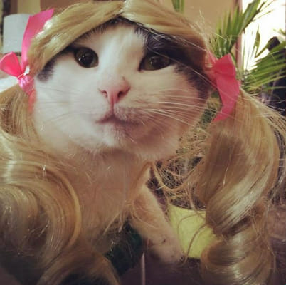 My first impression of you~ - Quiz | Quotev