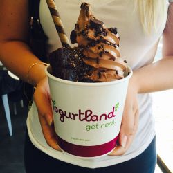 Make Fro-Yo and I'll Tell You if You're and Introvert or an Extrovert ...