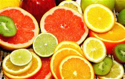 Cat or dog - Quiz | Quotev