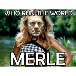Walking Dead Merle Meme