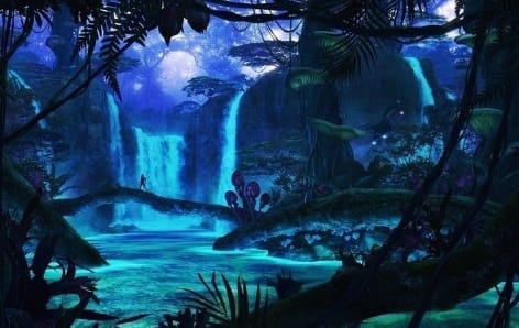 navi oc!! (fem) - Quiz | Quotev