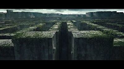 Your Maze Runner Life - Quiz | Quotev