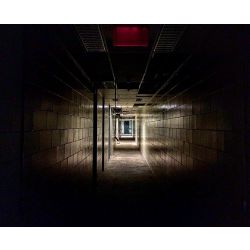 Trapped (RP) - Quiz | Quotev