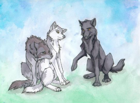 Animated Wolves Mating