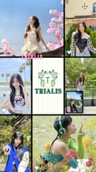 lilac.xxꨄ | Quotev