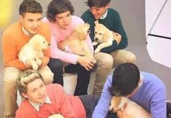 Your Life With One Direction. - Quiz | Quotev