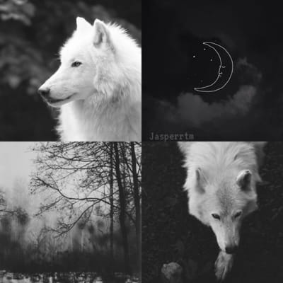 Werewolf Quiz (part 1.) - Quiz | Quotev