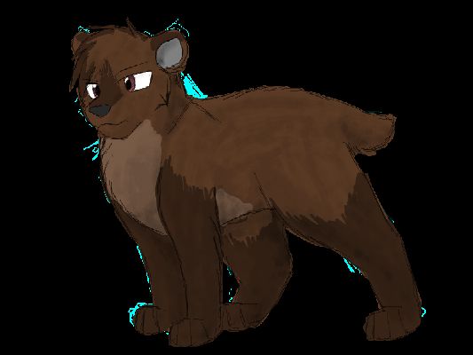 Seekers: Night with the Seekers bears 1 - Quiz | Quotev