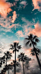 Which type of summer aesthetic is yours? - Quiz | Quotev