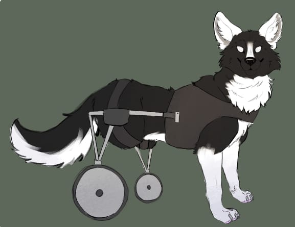 Echo female blind wolf | Quotev