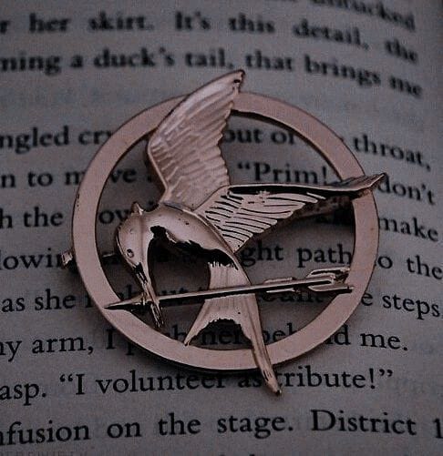 Your Hunger Games Name - Quiz | Quotev