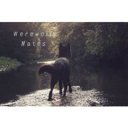 Werewolf Mates