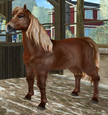 Chestnut Horses Sso