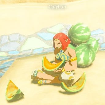 Zelda BotW NPC Quiz! - Test | Quotev
