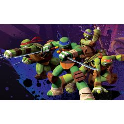 3 ~TMNT History QUIZ ~3 - Test | Quotev
