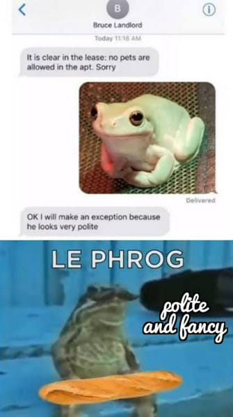 The Phrog Test - Test | Quotev