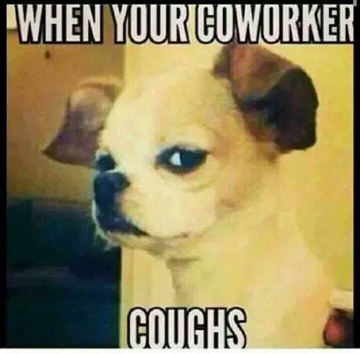 Funny Cough Memes Coughing Cat Meme Generator Piñata Farms The