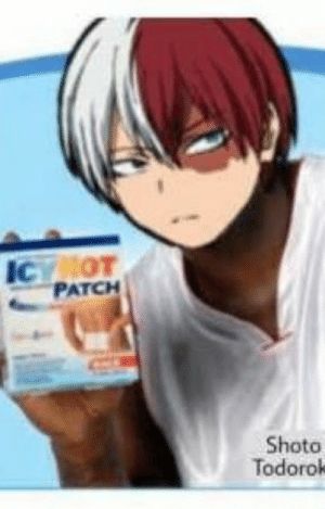 The Cringe Shoto Todoroki Test If You're Bored - Quiz | Quotev