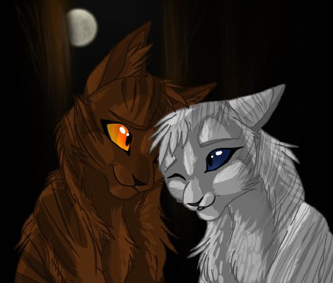 Hawkfrost And Ivypool Kits