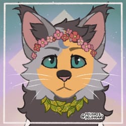 Letter to an oc - Survey | Quotev