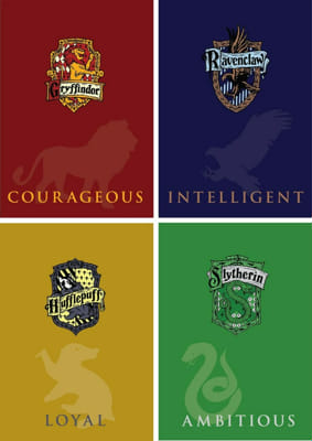 The Detailed Sorting Hat Quiz - Quiz | Quotev