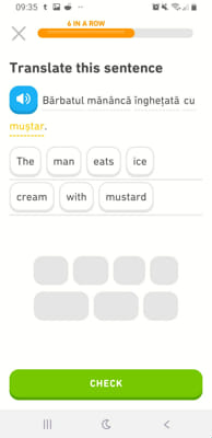 Pick some unhinged Duolingo sentences and get a dream SMP member - Quiz ...
