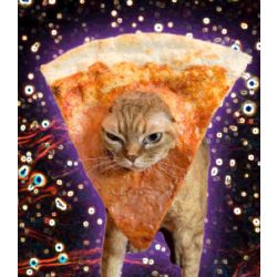 Random survey - Poll | Quotev