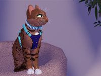 Are You a good medicine cat (WCUE) - Quiz | Quotev