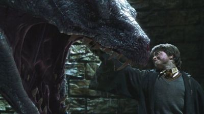 Basilisk Fang Harry Potter