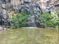 What’s the first letter of your soulmate’s name - Quiz | Quotev