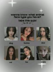 which animal face type are you ? - Quiz | Quotev