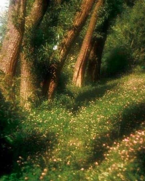 Pick Aesthetics To Get An Aesthetic Picture. - Quiz | Quotev