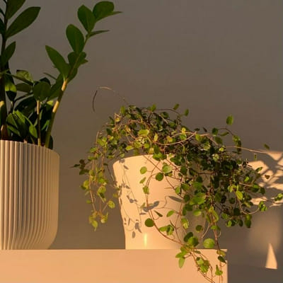 𝑷𝒊𝒄𝒌 𝒔𝒐𝒎𝒆 𝒑𝒊𝒄𝒕𝒖𝒓𝒆𝒔 𝒈𝒆𝒕 𝒔𝒐𝒎𝒆 𝒄𝒂𝒏𝒅𝒚 - Quiz | Quotev