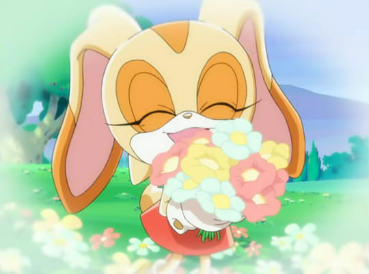 What does Cream the Rabbit think of you? - Quiz | Quotev