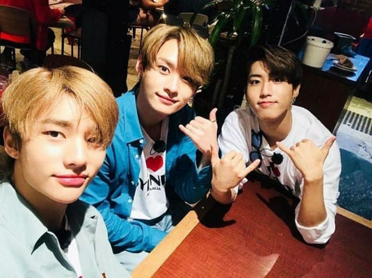 𝙰𝚛𝚎 𝚢𝚘𝚞 𝚙𝚊𝚛𝚝 𝚘𝚏 𝚙𝚊𝚋𝚘𝚛𝚊𝚌𝚑𝚊? - Quiz | Quotev