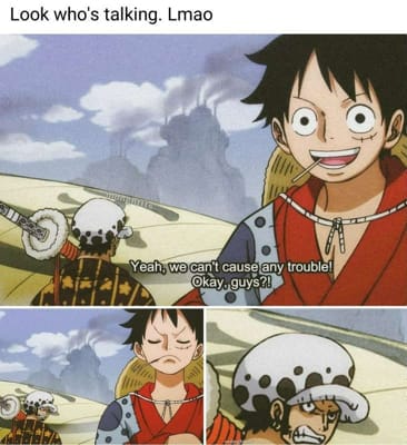 I’m bored” one piece quiz - Quiz | Quotev