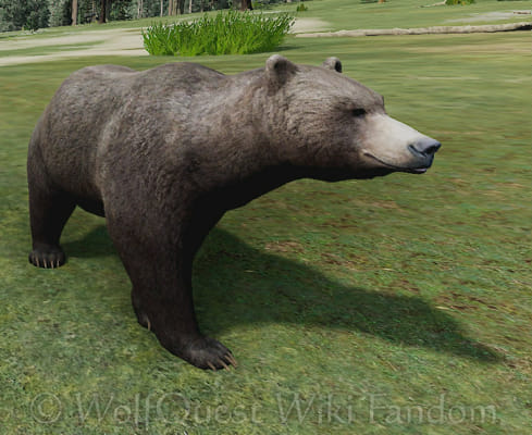 How much do you know about Wolfquest 3: Anniversary Edition? - Test ...