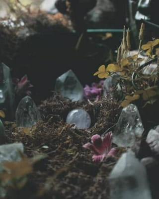 What Element Do You Control? - Quiz | Quotev