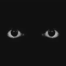 01010111 01001000 01000101 01010010 0100 | Quotev