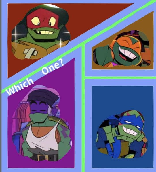Which Rise Turtle are you? - Quiz | Quotev