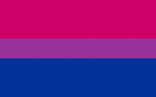 LGBTQ+ flags (medium difficulty) - Test | Quotev