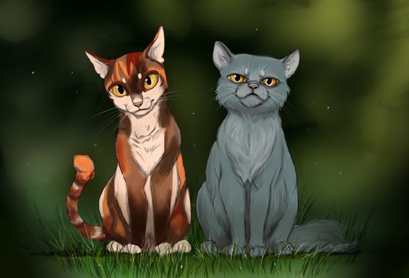Who are the most popular warrior cats characters? (Survey) - Survey ...