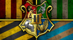 Your Hogwarts House - Quiz | Quotev
