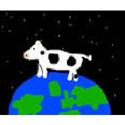 Are you a true cow? - Quiz | Quotev