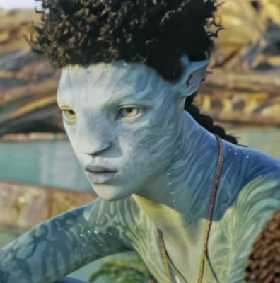 navi oc!! (fem) - Quiz | Quotev