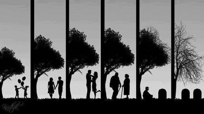 What's your Guardian Beast? - Quiz | Quotev