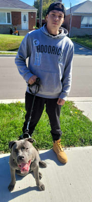 Cole poopooman - Test | Quotev